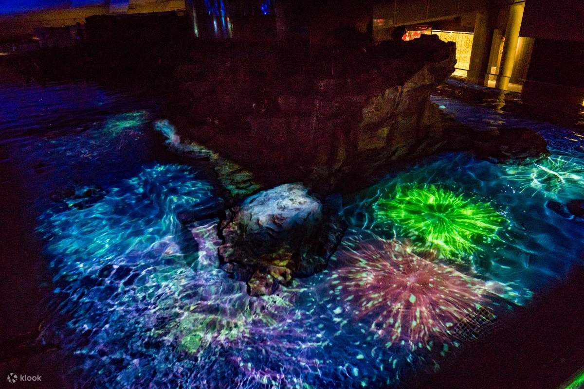 Entrada al Acuario Sumida en Tokio - Klook Estados Unidos