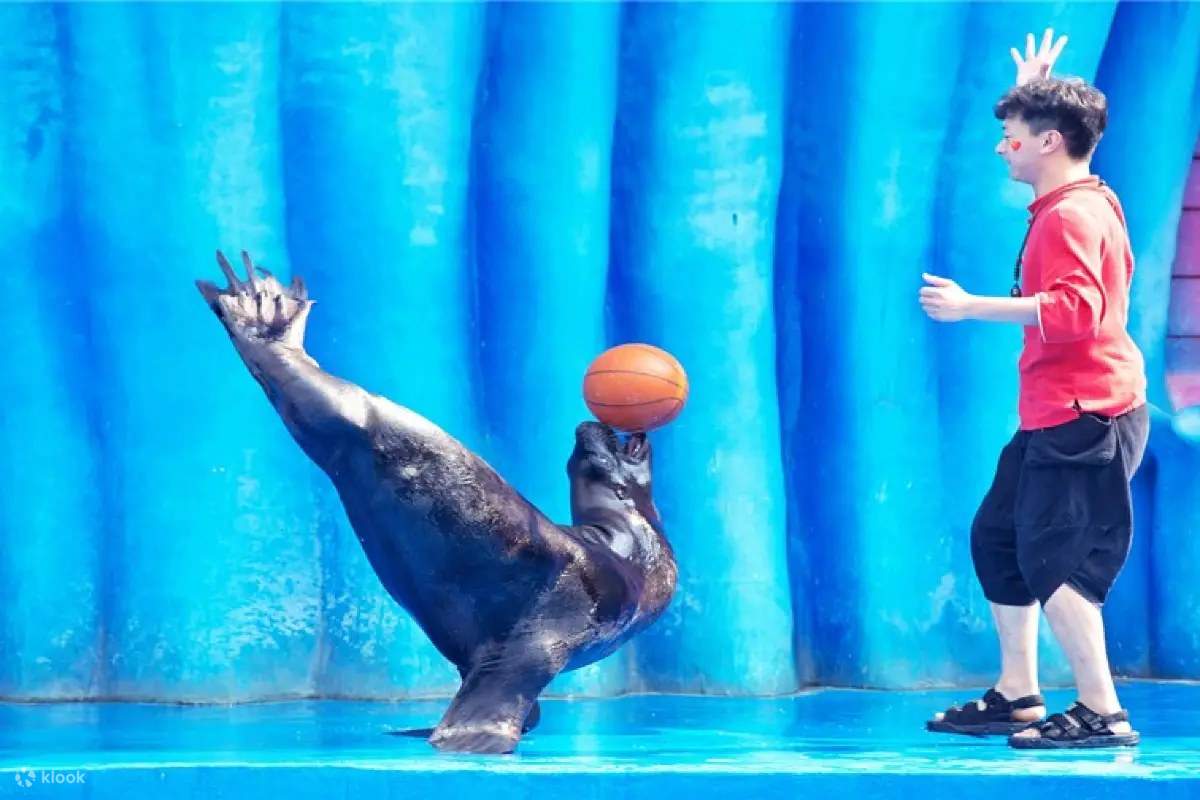 Huaxia Culture and Tourism Ocean Park - Klook