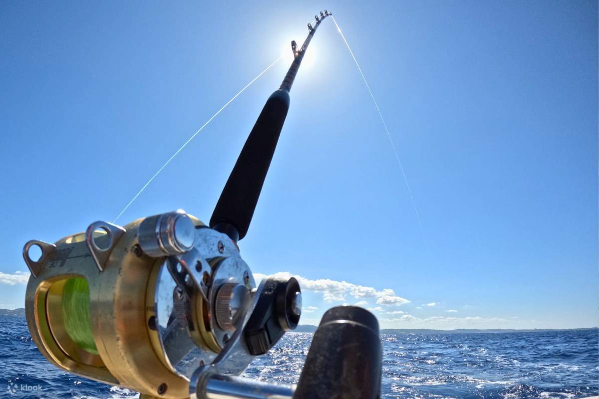 Pengalaman Memancing & Trolling Perahu Sewa Pribadi di Okinawa - Klook ...