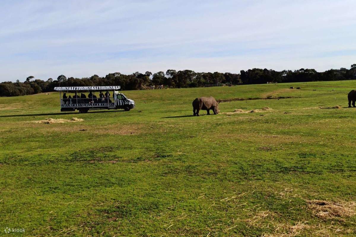 Werribee Open Range Zoo Ticket in Melbourne - Klook Malaysia