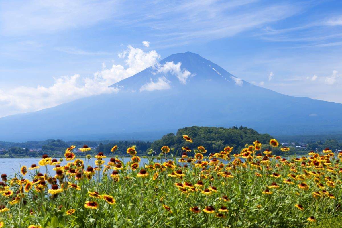 Tour in autobus di un giorno del Monte Fuji, del Parco Oishi e del ...