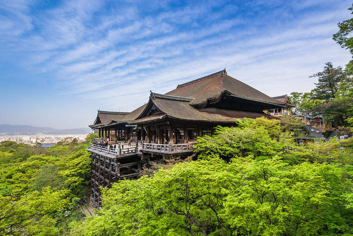 Fushimiinari and Kiyomize Temple hald day tour - Klook