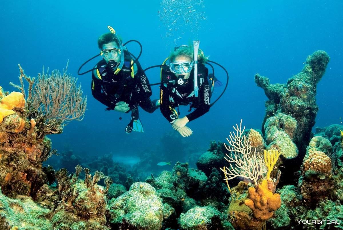 Dive into Adventure: Marmaris Scuba Diving Experience with Two Dives ...