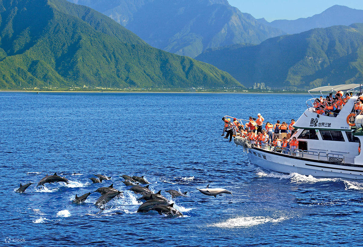 Hualien: Whale World Whale Watching Ecological Tour (Additional New ...