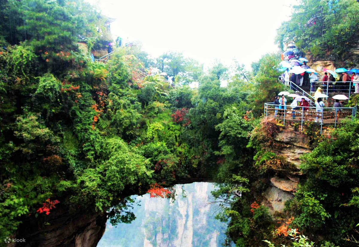 Zhangjiajie 3-Day Tour (Cable Car+VIP Lift+Glass Bridge) - Klook India