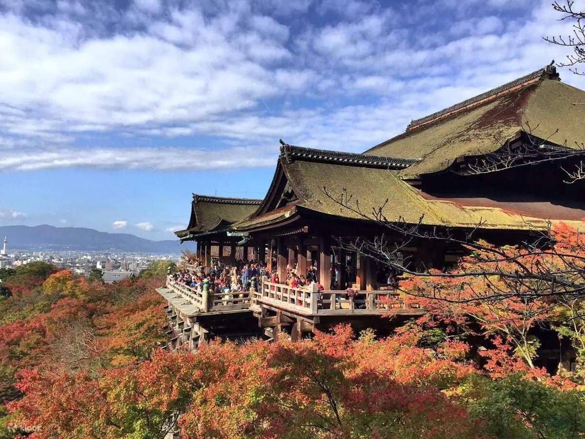 Kiyomizu-dera, Fushimi Inari Shrine, and Nara Park One Day Walking Tour ...