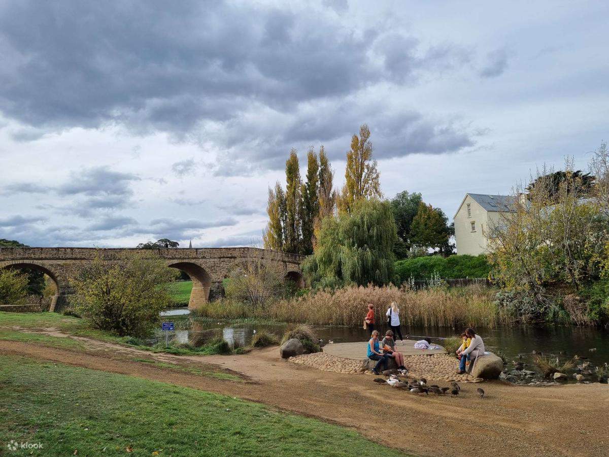 Santuari Hidupan Liar Bonorong dan Lawatan Hari Richmond dari Hobart ...