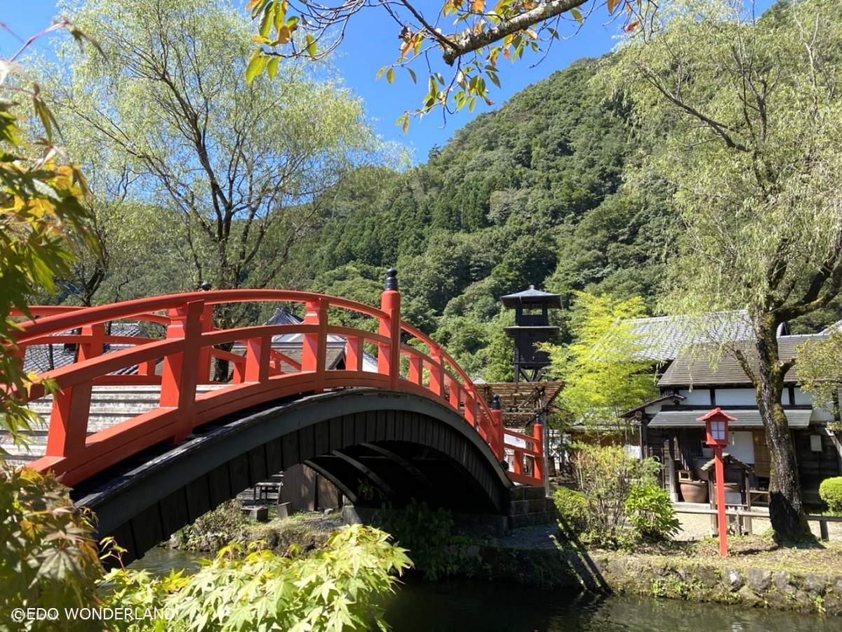 Enjoy special fireworks at Nikko Edomura & Visit NikkoToshogu Shrine ...