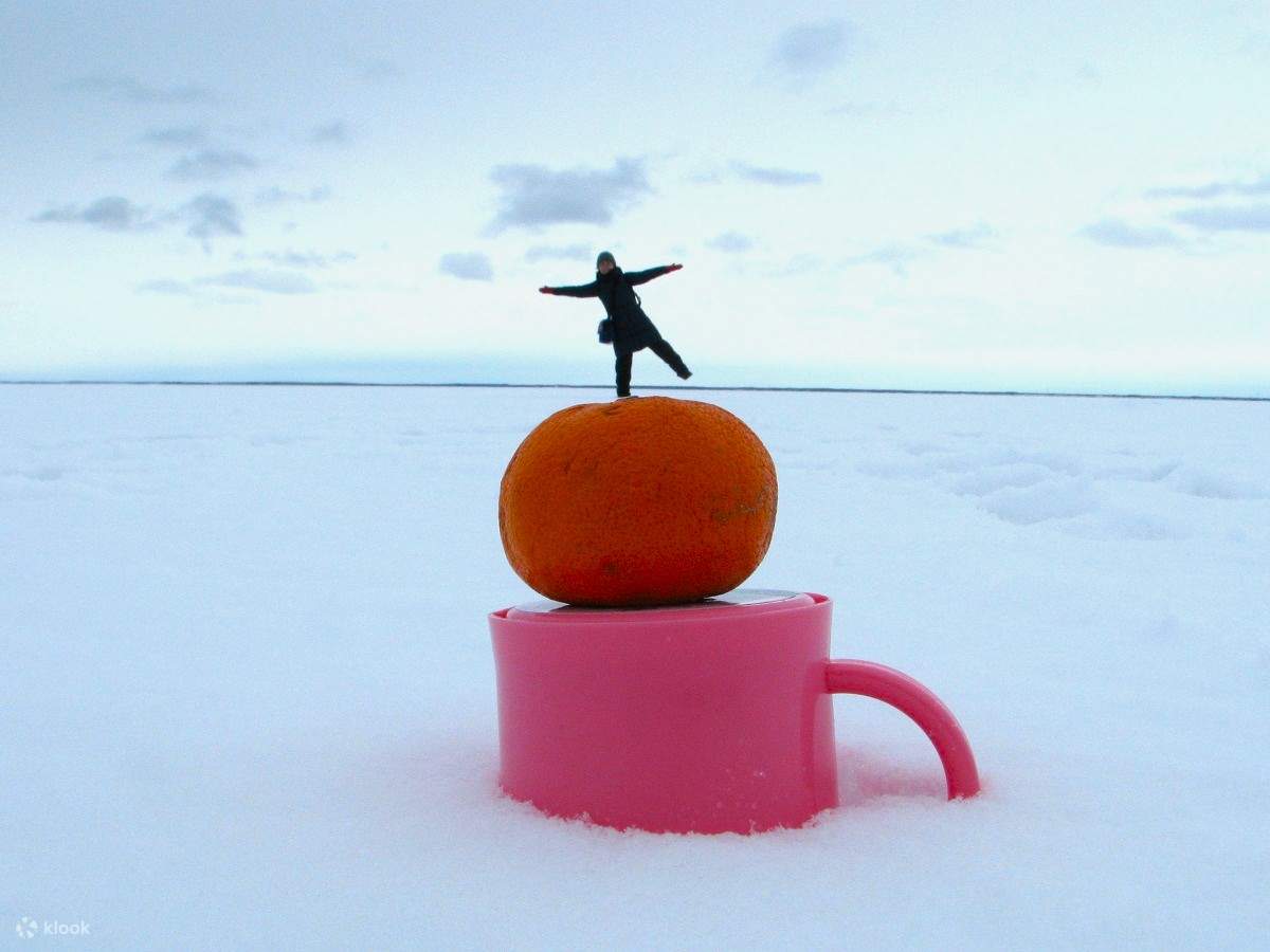 Ice Horizon Walk: Frozen Sea Adventure of Notsuke Peninsula - Klook ...