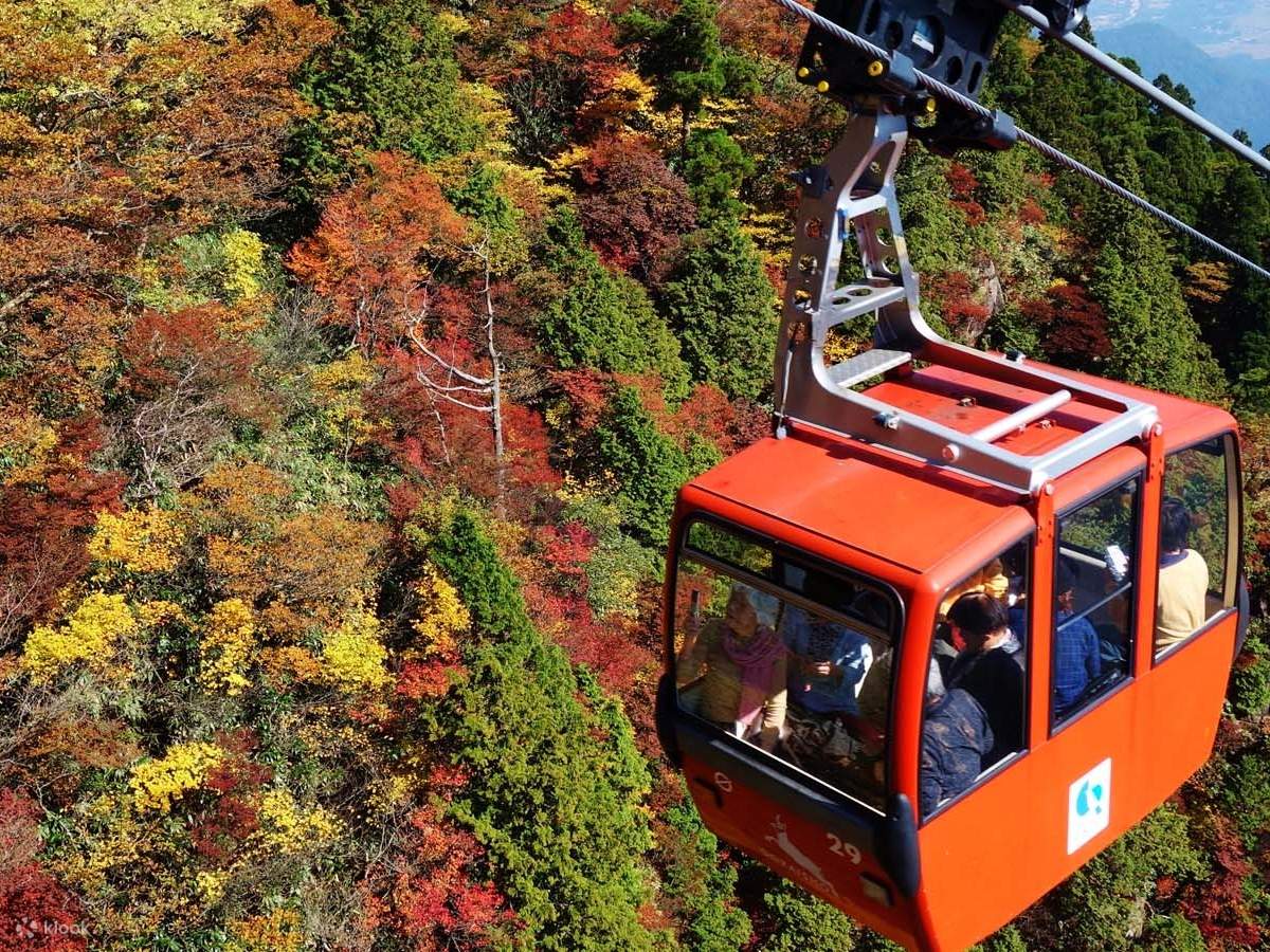 Gozaisho Ropeway and Nabana no Sato One Day Bus Trip from Osaka/Nagoya - Klook Singapore
