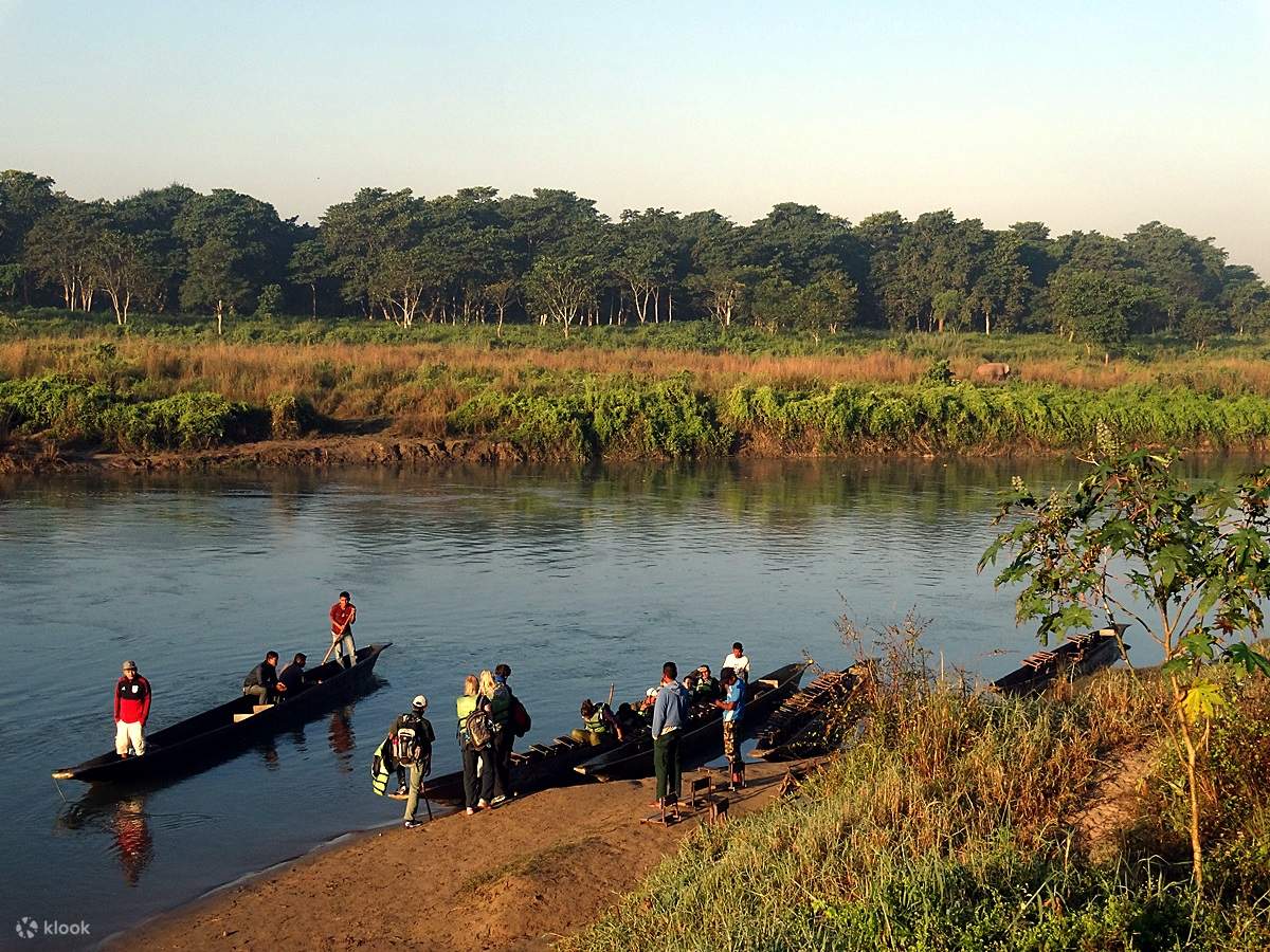 4-Day Private Chitwan National Park Safari Tour From Kathmandu - Klook ...