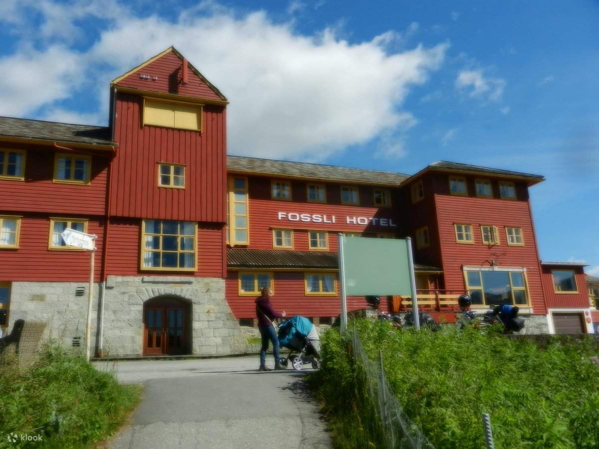 Eidfjord Shore Excursion: The Ultimate Scenic Adventure - Klook