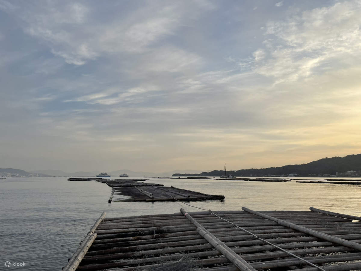 Learn About Oyster Harvesting With Fishermen in Hiroshima Private Half ...