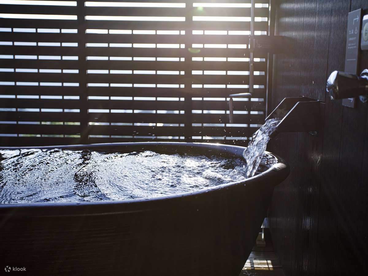 Hakone Kowakien Tenyu Japanese-style hot spring hotel, one stay, two ...