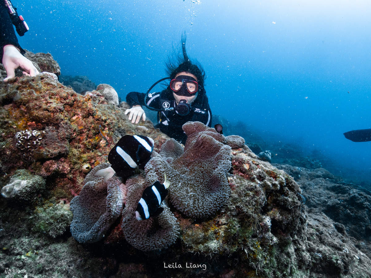 New Taipei｜Siji Bay Moana Scuba Diving Studio in Northeast Corner ...