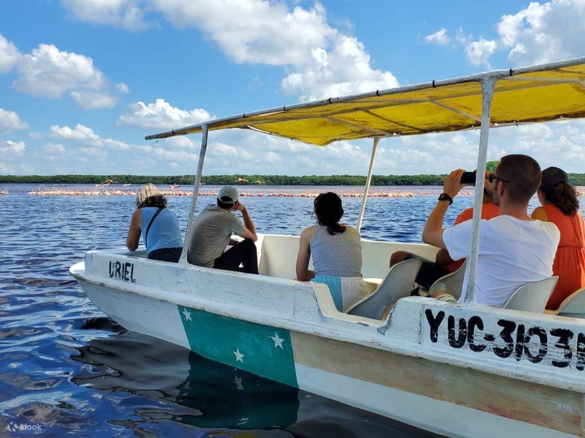 Mangroves & Magic A Celestun Eco Tour from Merida - Klook