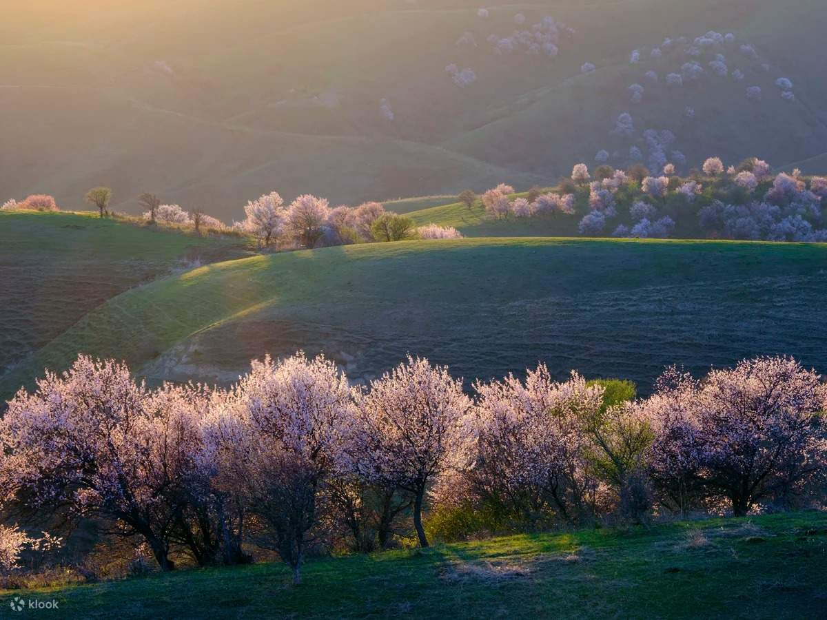 Xinjiang Yili + Turpan Xinghua 8-day private tour (Top Ten Wild Luxury ...