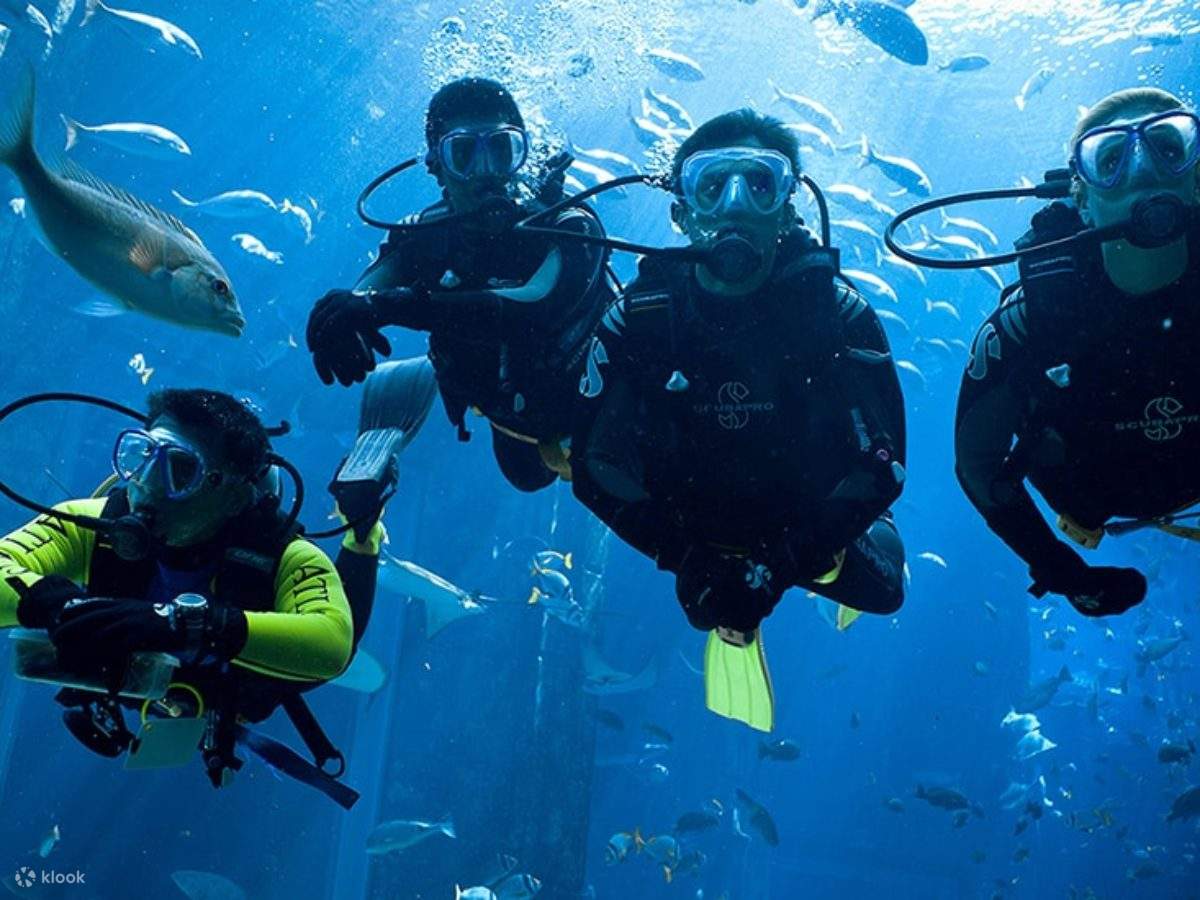 Menyelam Scuba Kemer dengan Makan Siang BBQ & Transfer dari Belek ...