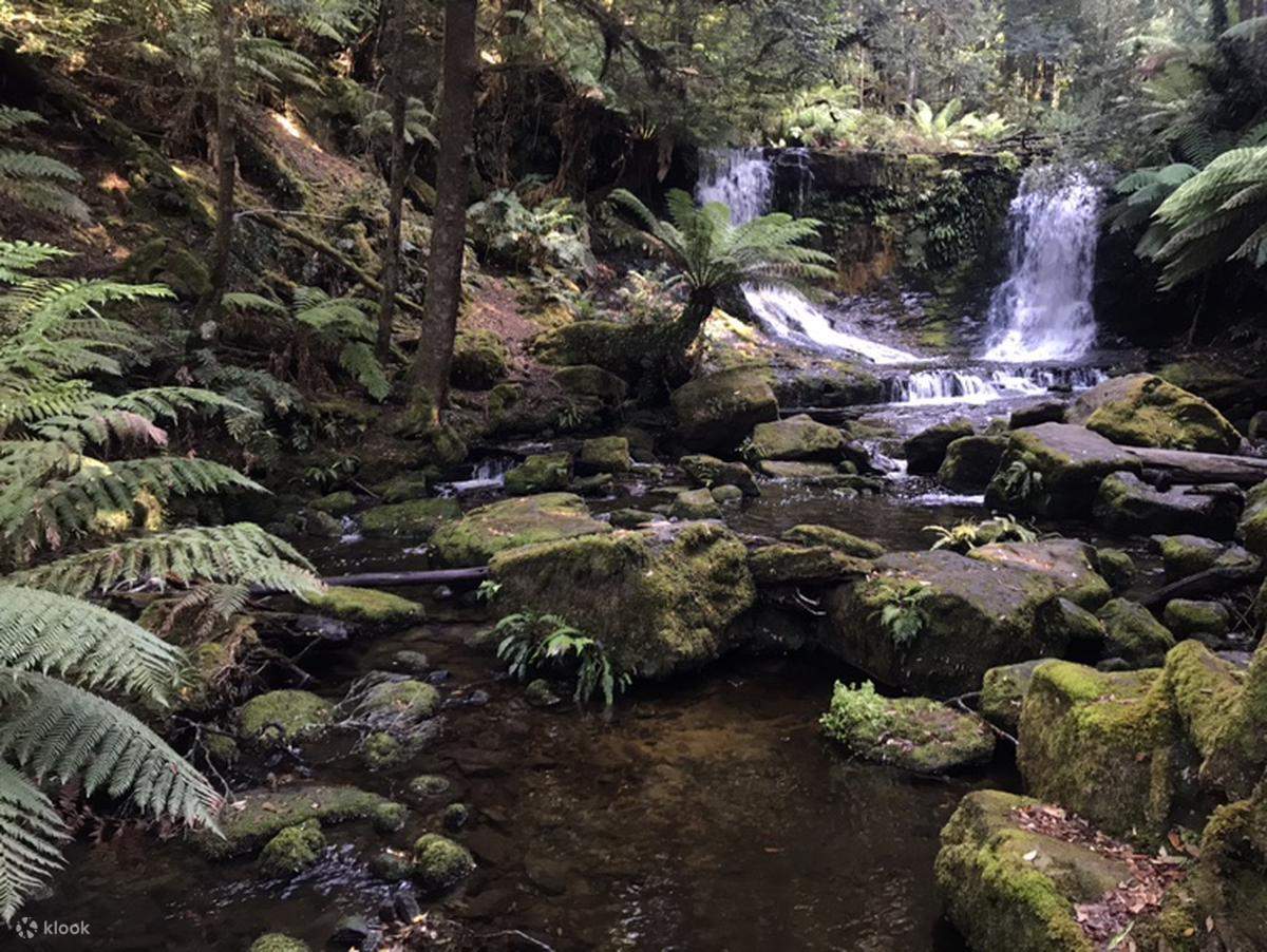 Santuari Hidupan Liar Bonorong dan Lawatan Hari Richmond dari Hobart ...