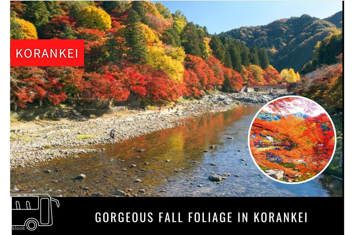 Tur Bus Korankei, Obara, dan Star Village Achi 2 Hari dari Nagoya ...
