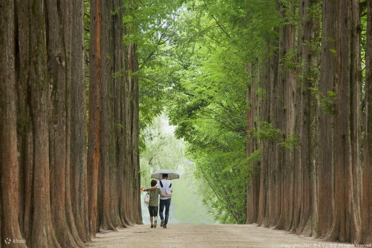 [Special Offer] Nami Island Admission with Restaurants & Activities ...