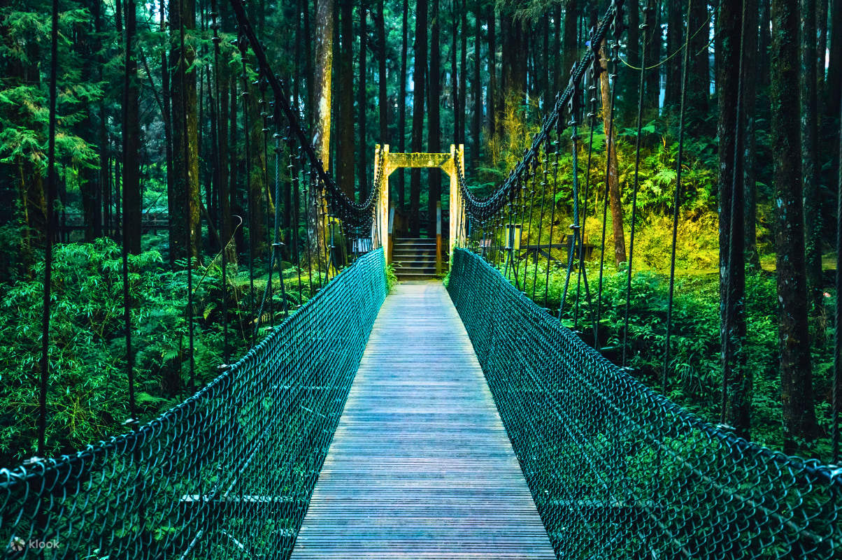 Alishan, Chiayi | 2-Day, 1-Night | Sunrise Forest Healing Trip ...