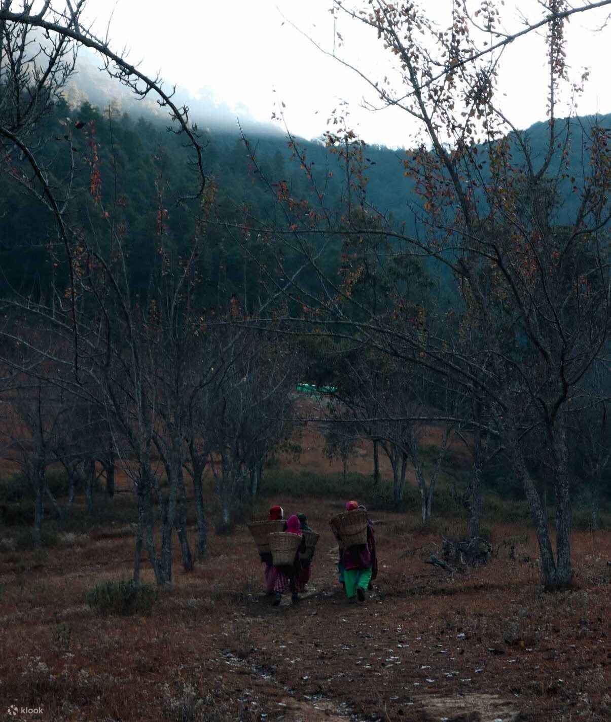 From Kathmandu: Chitlang Day Tour, Wine Tasting and Short Hike - Klook ...