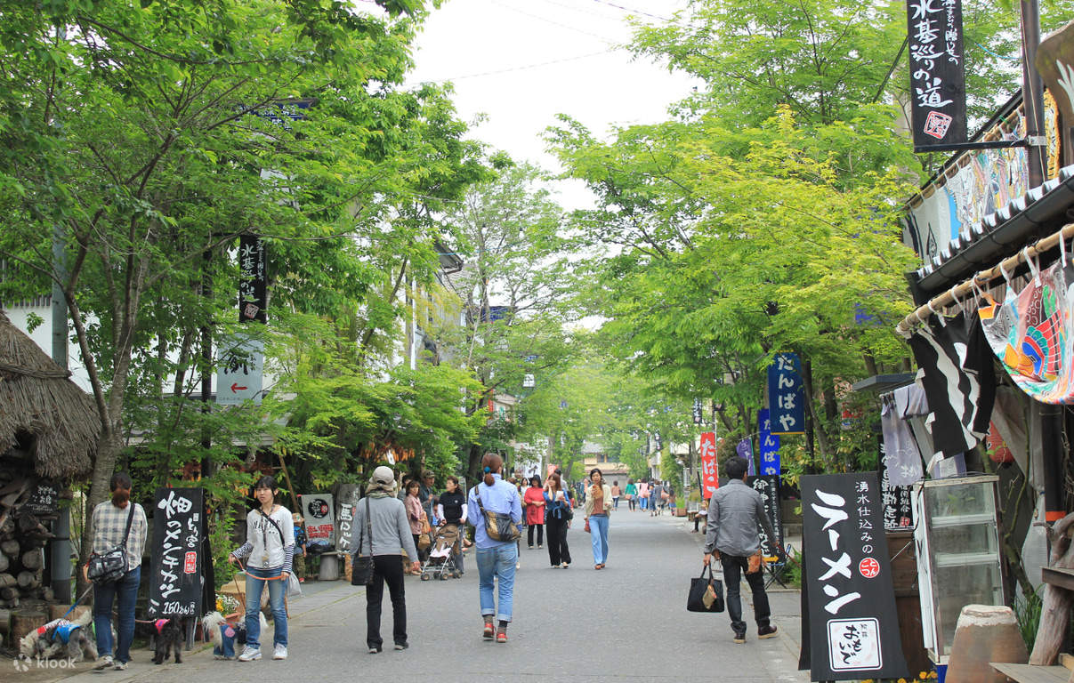 Aso Round Bus Tour | Daikanbo & Aso Shrine & Aso Nakadake Crater ...