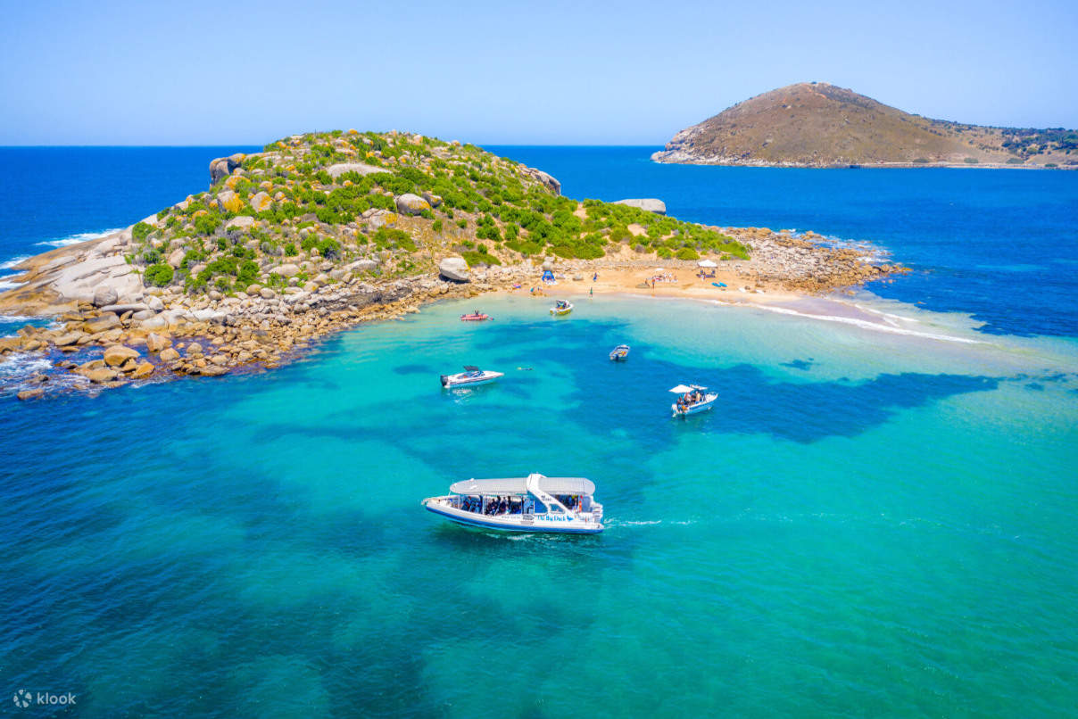 Seal Island Boat Tour dari Victor Harbor - Klook Indonesia
