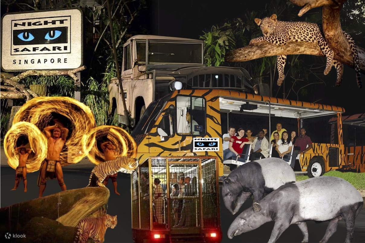 Singapore Shared Attractions Transfer - Klook Philippines