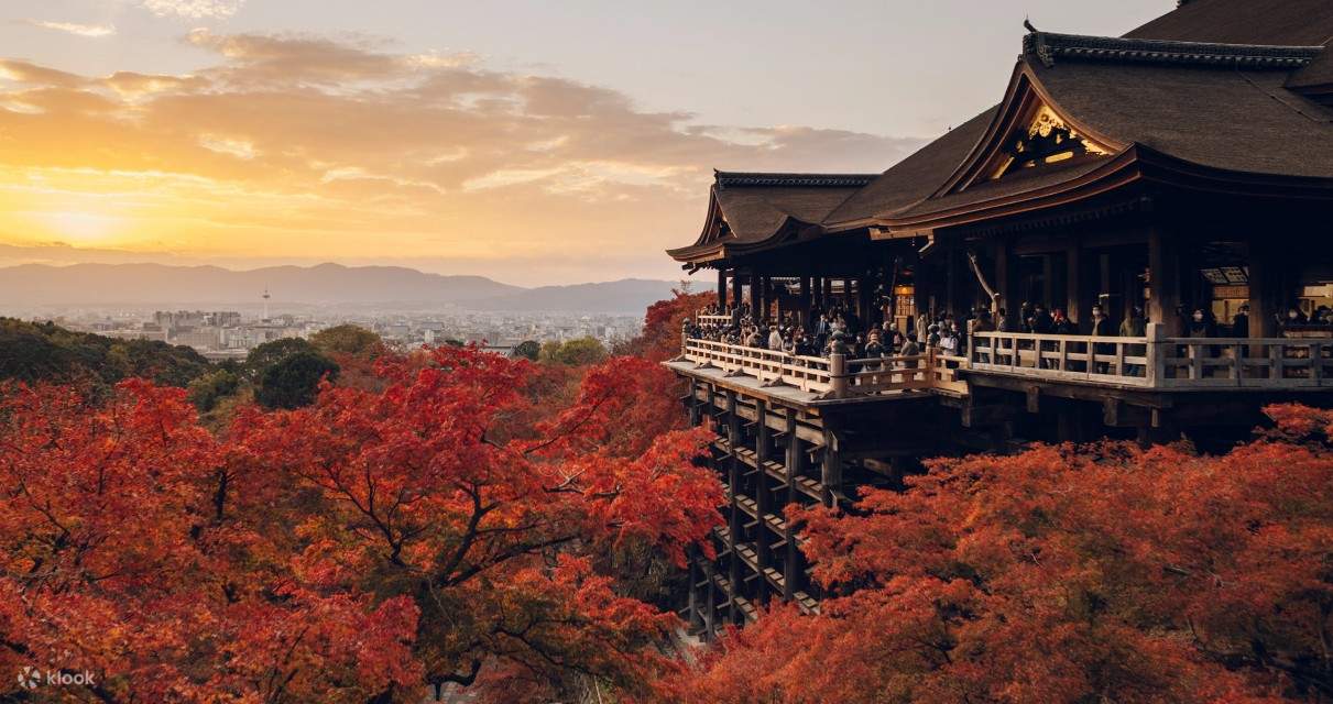 【1人成行 精品小团】京都奈良双古都一日游｜清水寺and 伏见稻荷大社and奈良公园｜中文司导｜大阪and京都出发｜可选酒店接送 Klook客路