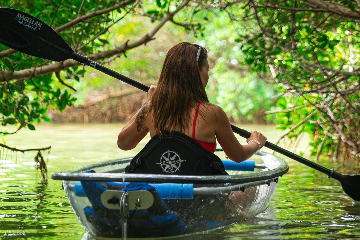 Shell Key Preserve Clear Kayak Tour in Tampa Bay - Klook