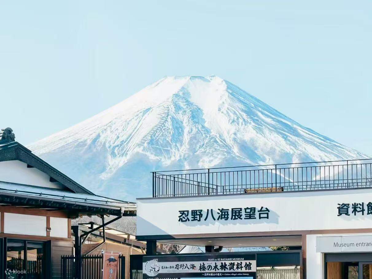 One-day tour of Mount Fuji with beautiful views and photos｜Feeding ...