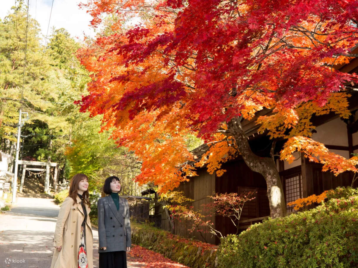Half-Day Walking Tour: Takayama’s Hidden Gems & Temple Walk - Klook
