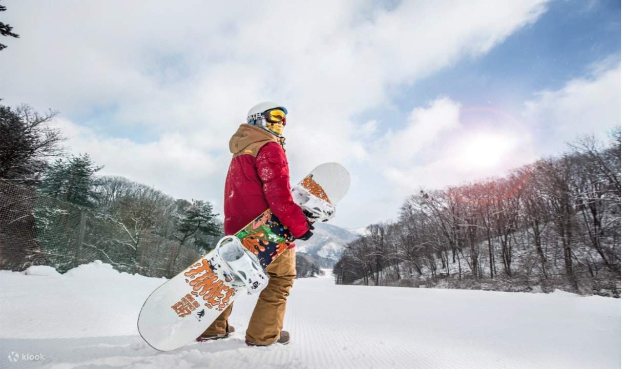 PyeongChang Olympic Venue: Phoenix Snow Park One-Day Tour - Klook