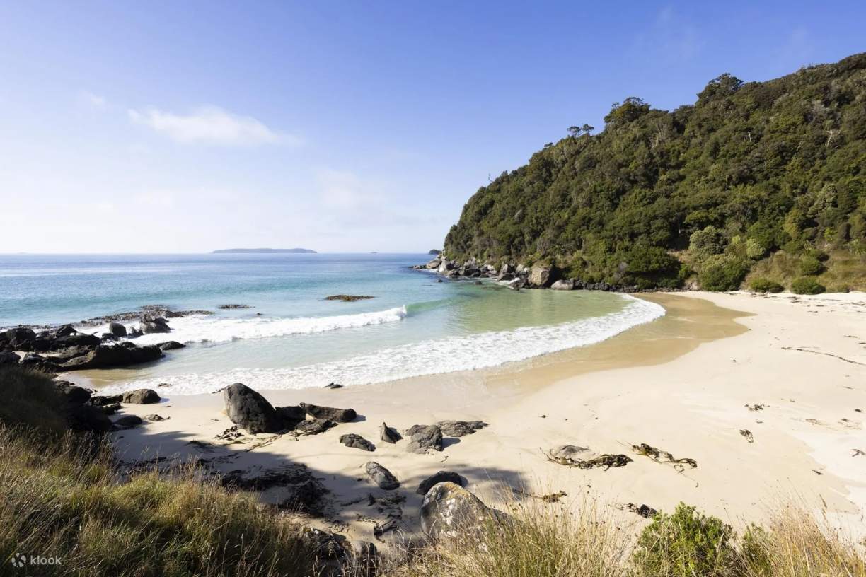 Stewart Island Wilderness Walk Tour - Klook Canada