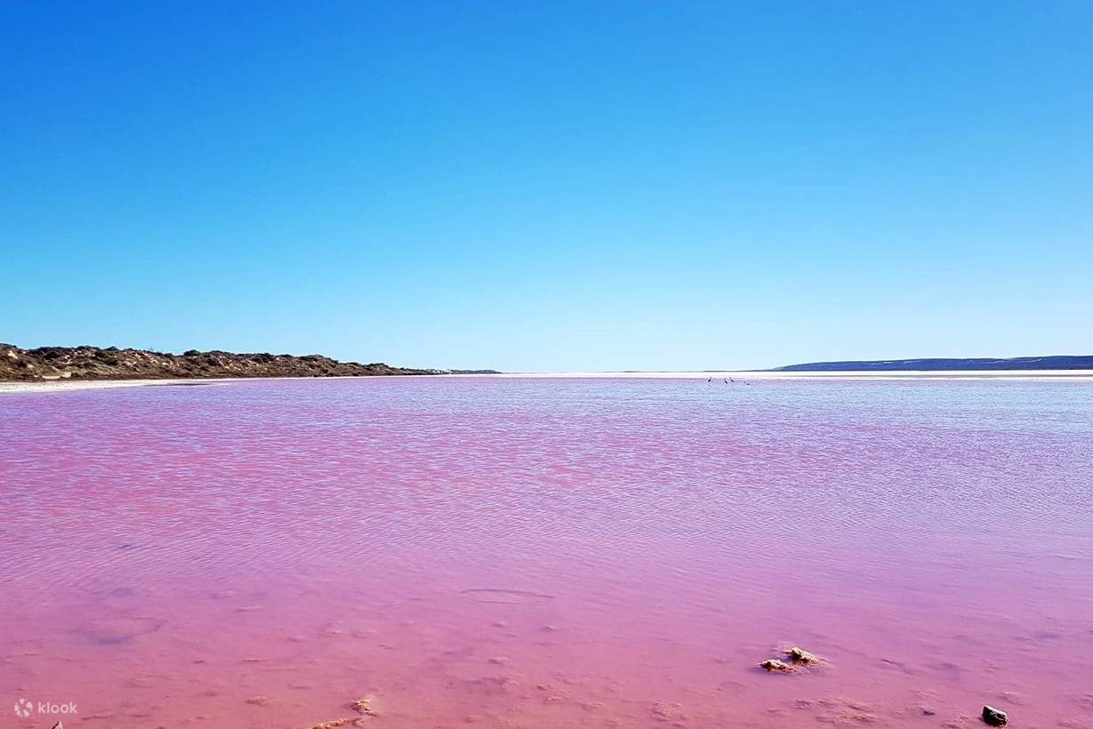 3 Day Western Australia Pink Lake Tour with Chinese Language Guide - Klook