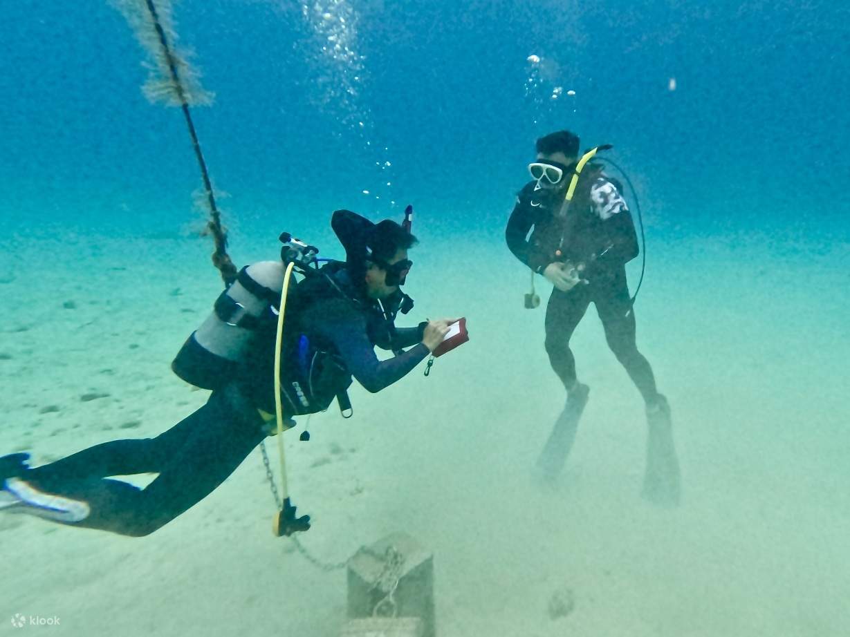 Okinawa: PADI Diving License | Open Water Diver | Advanced Open Water ...