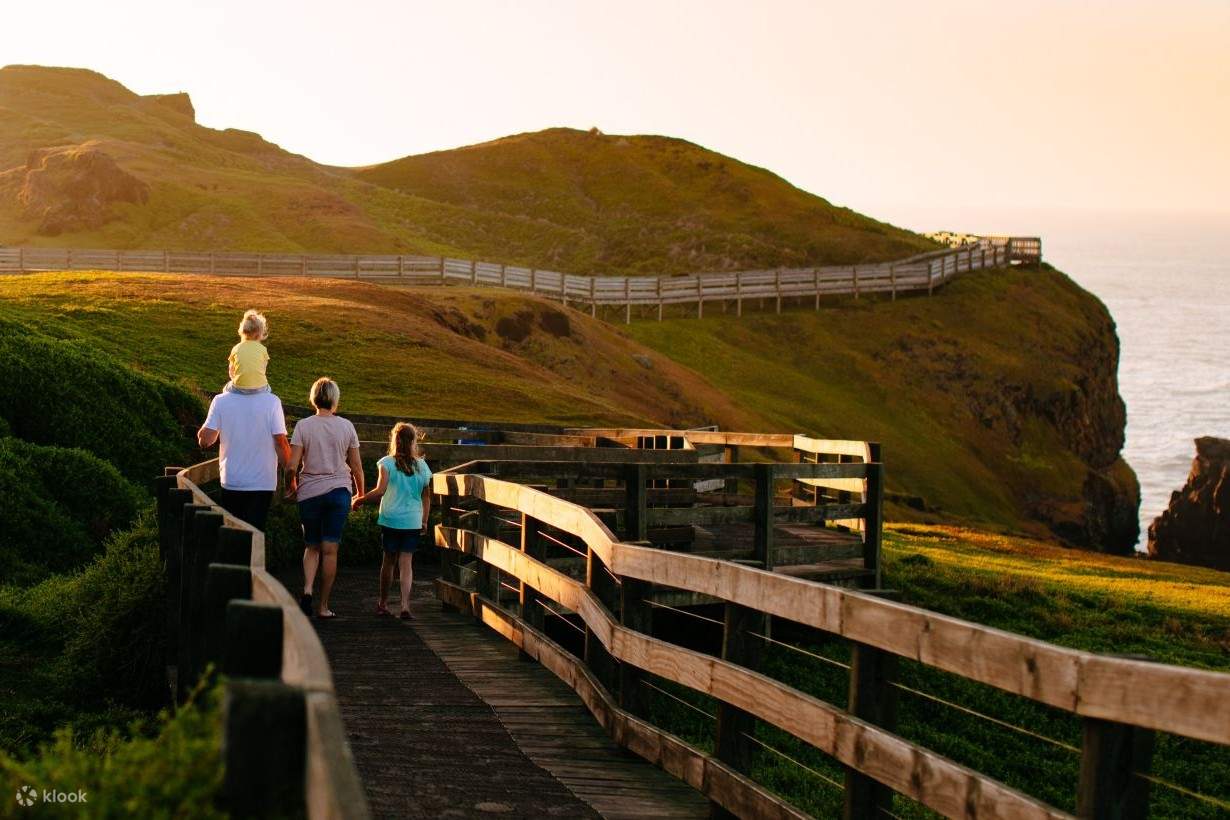 Phillip Island Tours from Melbourne - Klook Australia