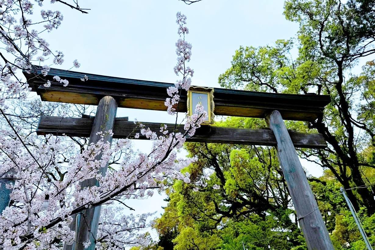 Kastil Kokura, Kuil Usa Jingu, dan Tur Pengalaman Opsional Sehari ...