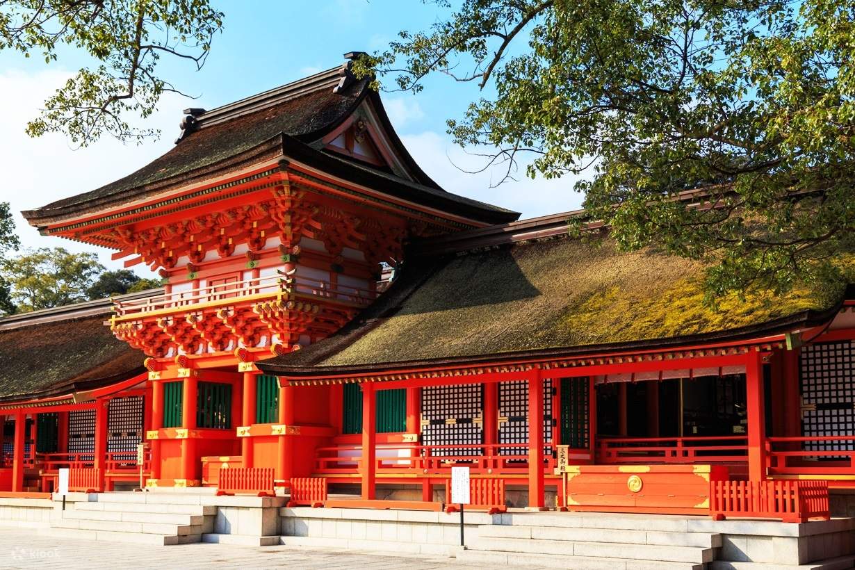 Kokura Castle, Usa Jingu Shrine, and Optional Experience Day Tour ...