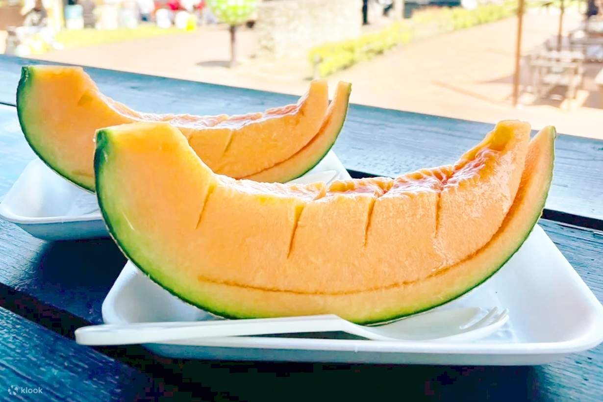 Biei Blue Pond & Ningle Terrace & Shikisai-no-oka/Farm Tomita Flower Viewing Day Trip (From ...