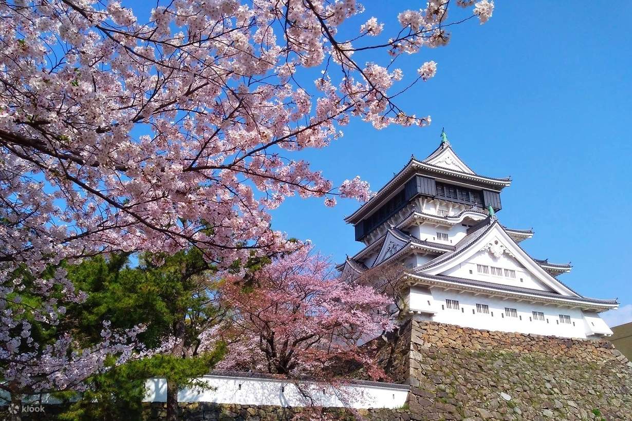 Kokura Castle, Usa Jingu Shrine, and Optional Experience Day Tour ...