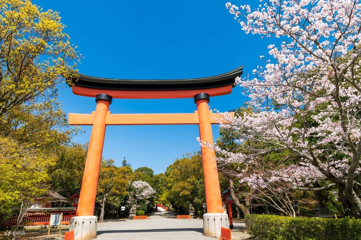 Kokura Castle, Usa Jingu Shrine, and Optional Experience Day Tour ...