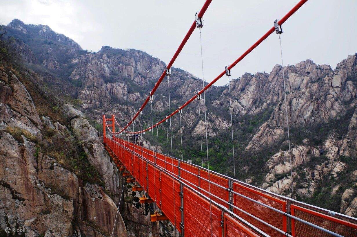 Provence Village & Drama Land & Suspension Bridge Tour from Seoul - Klook