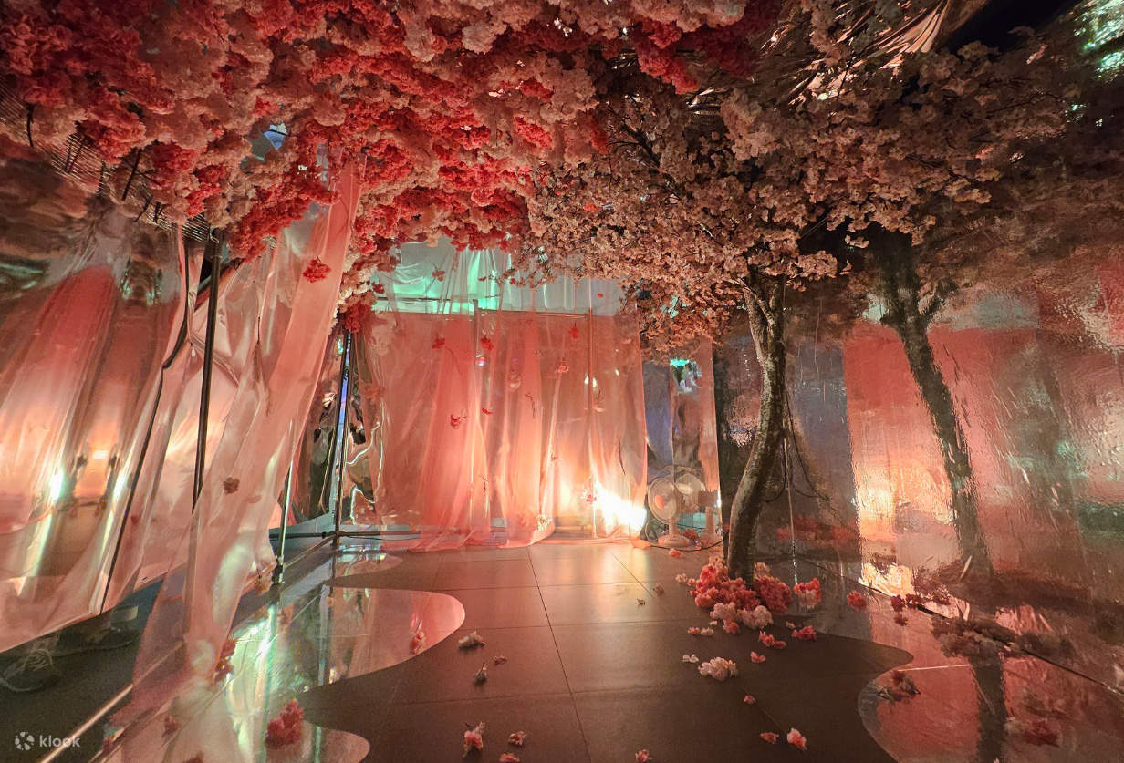 Floral Palette Life Photo Studio#5 Ticket in Seoul - Klook