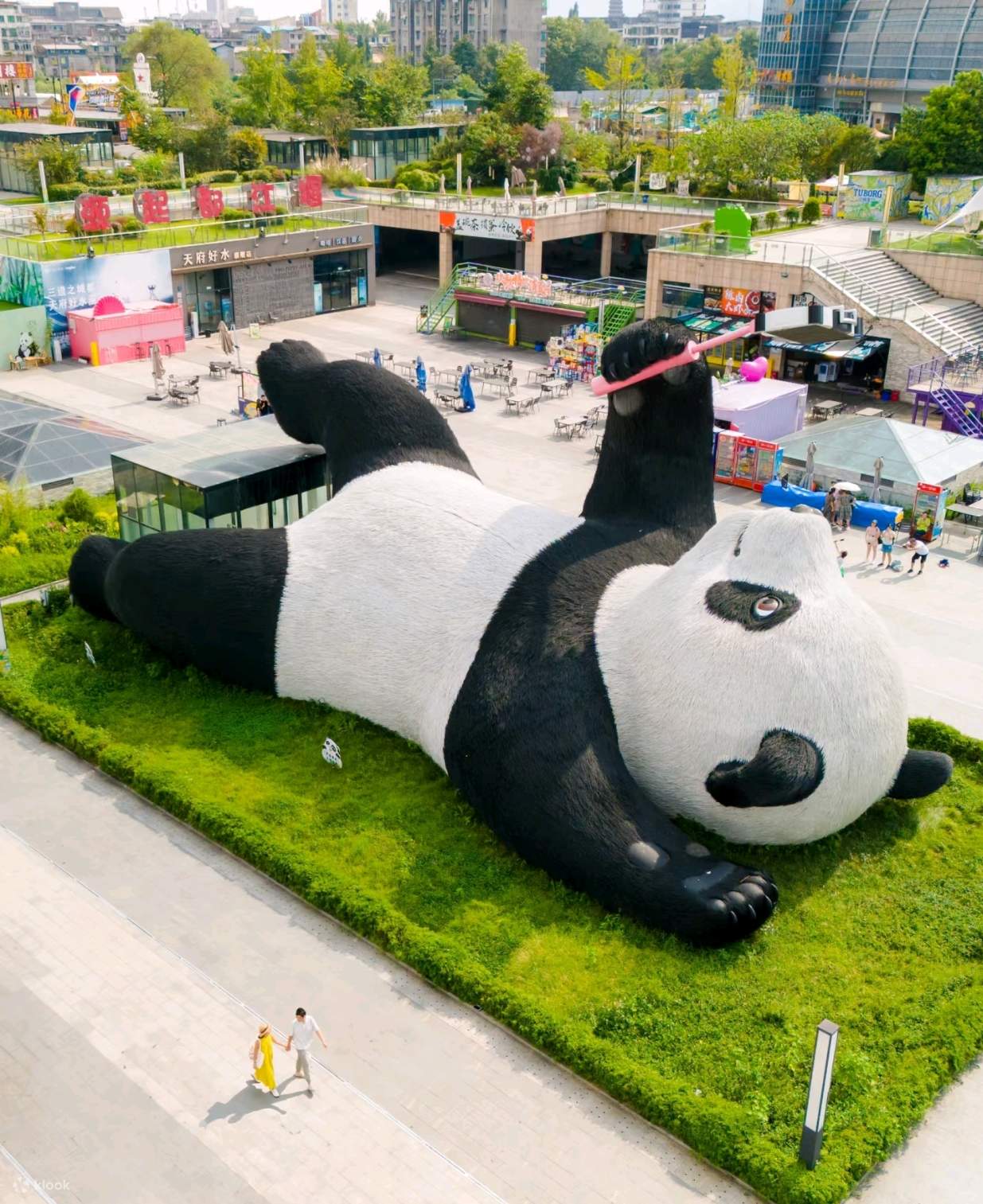 Sichuan Dujiangyan + Sanxingdui / Qingcheng Mountain / Panda Valley ...