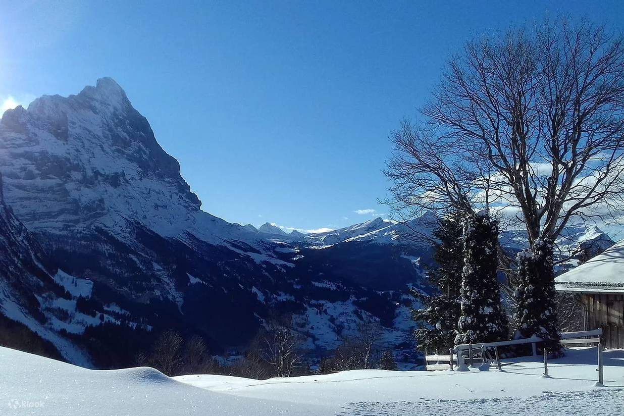 Skiing Snow in Interlaken - Klook