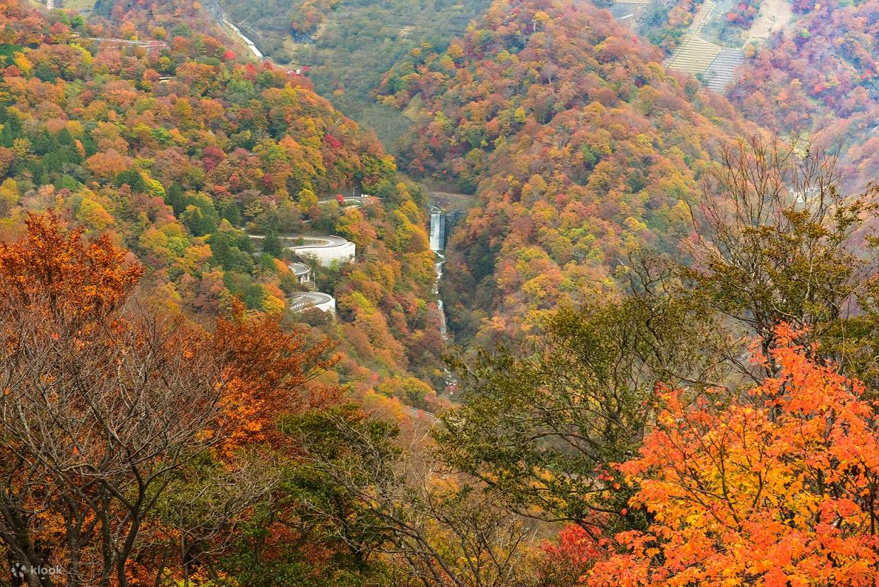 Nikko World Heritage Day Tour from Tokyo - Klook Australia
