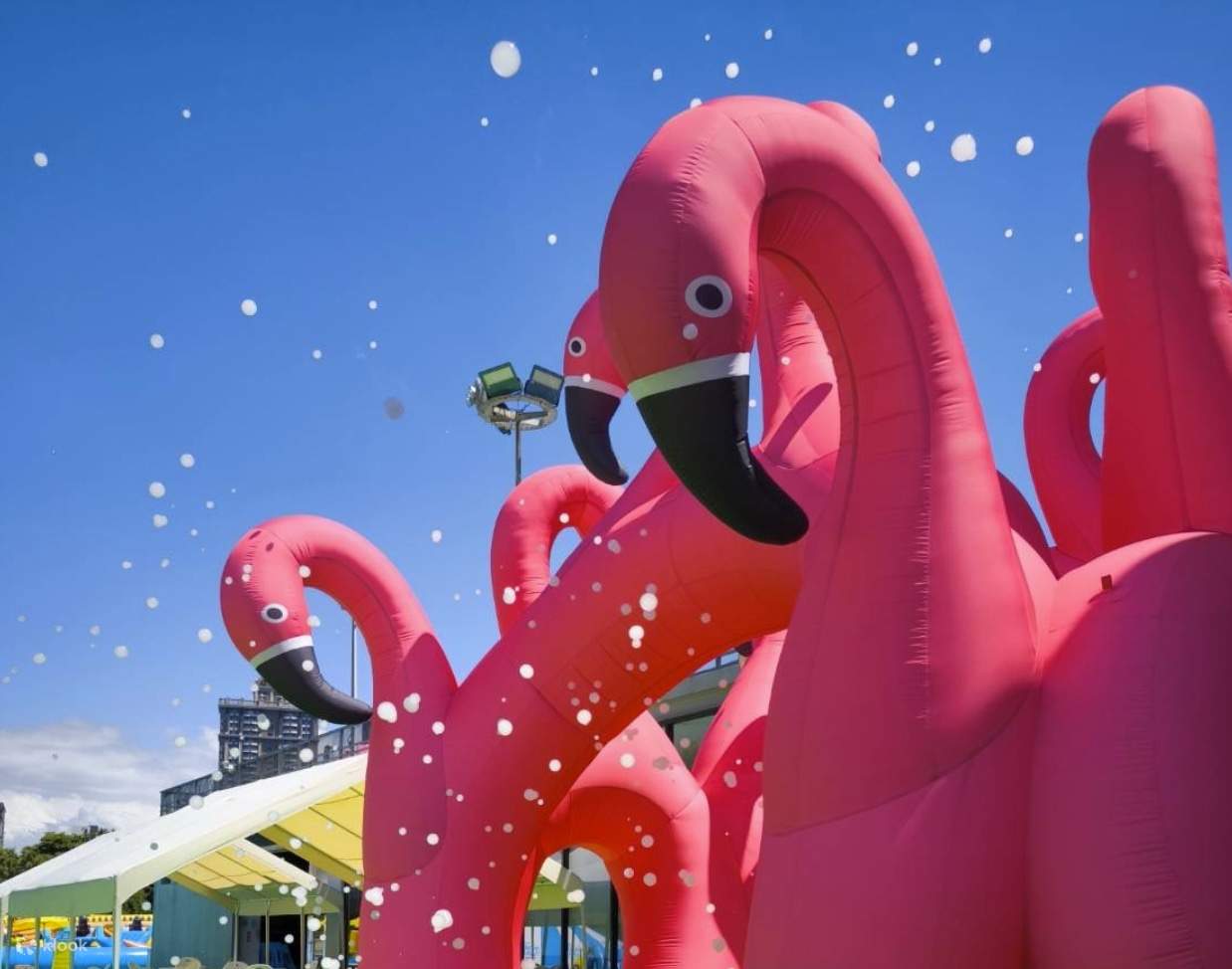 Wabo Wabo 冒險水樂園 - Klook 客路